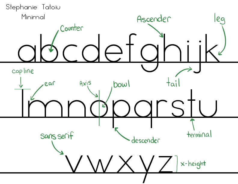TypographyWinter2014: Typography Anatomy - Stephanie Tatoiu