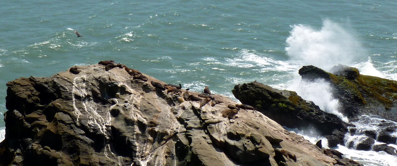 Raf's High-Res Travel Photos: Punta Balcones, Peru