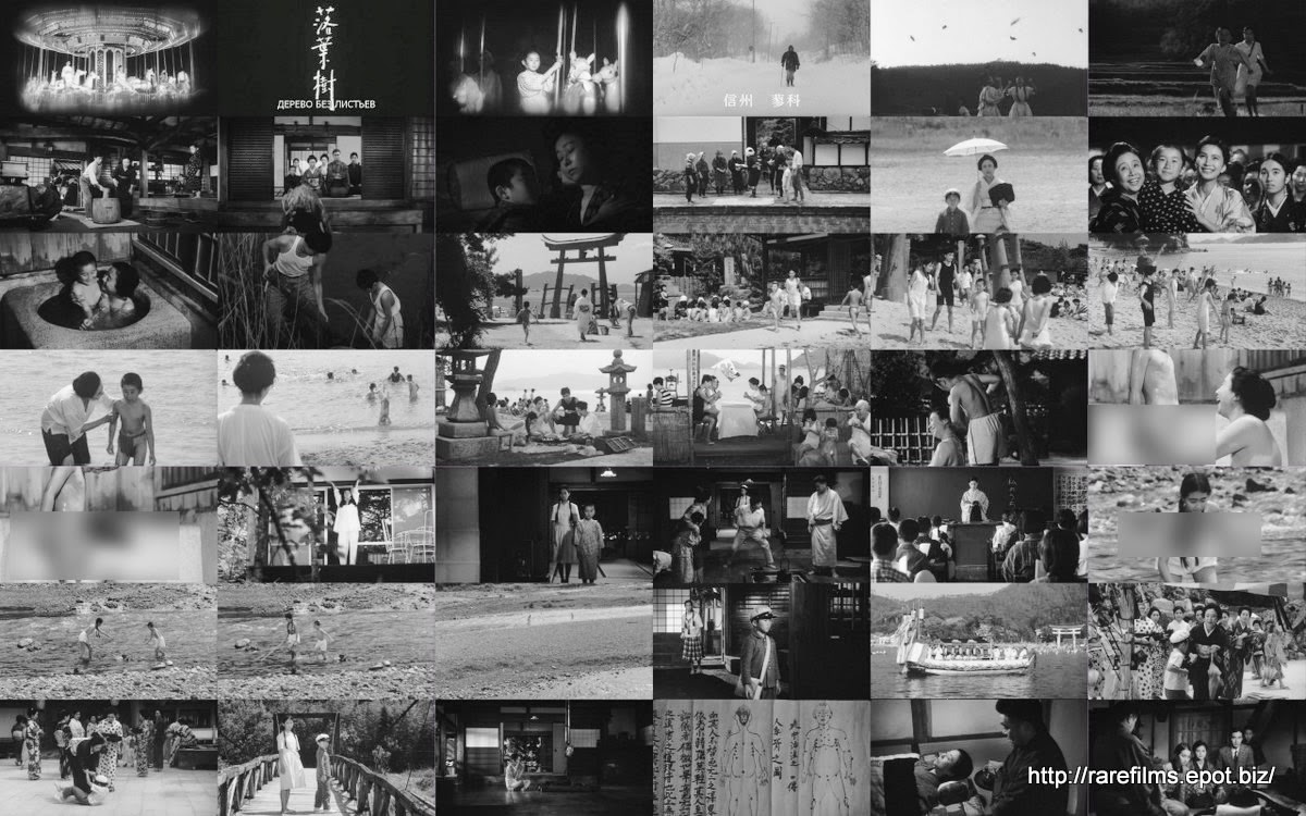 Tree Without Leaves Photos - Tree Without Leaves Images: Ravepad - the ...