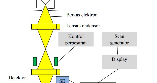 Health and Nutrition Corner: Scanning Electron Microscope (SEM)