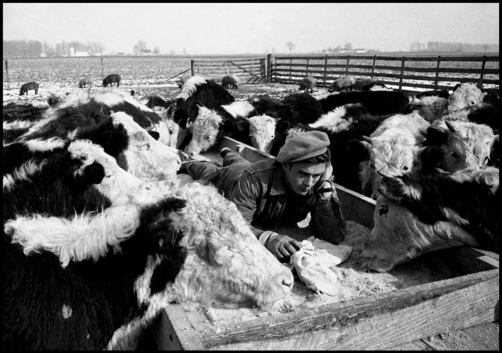 45 Intimate Photographs Capture Daily Life of James Dean in 1955 ...