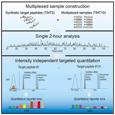 News in Proteomics Research: TOMAHAQ -- Rapid, targeted, triggered ...