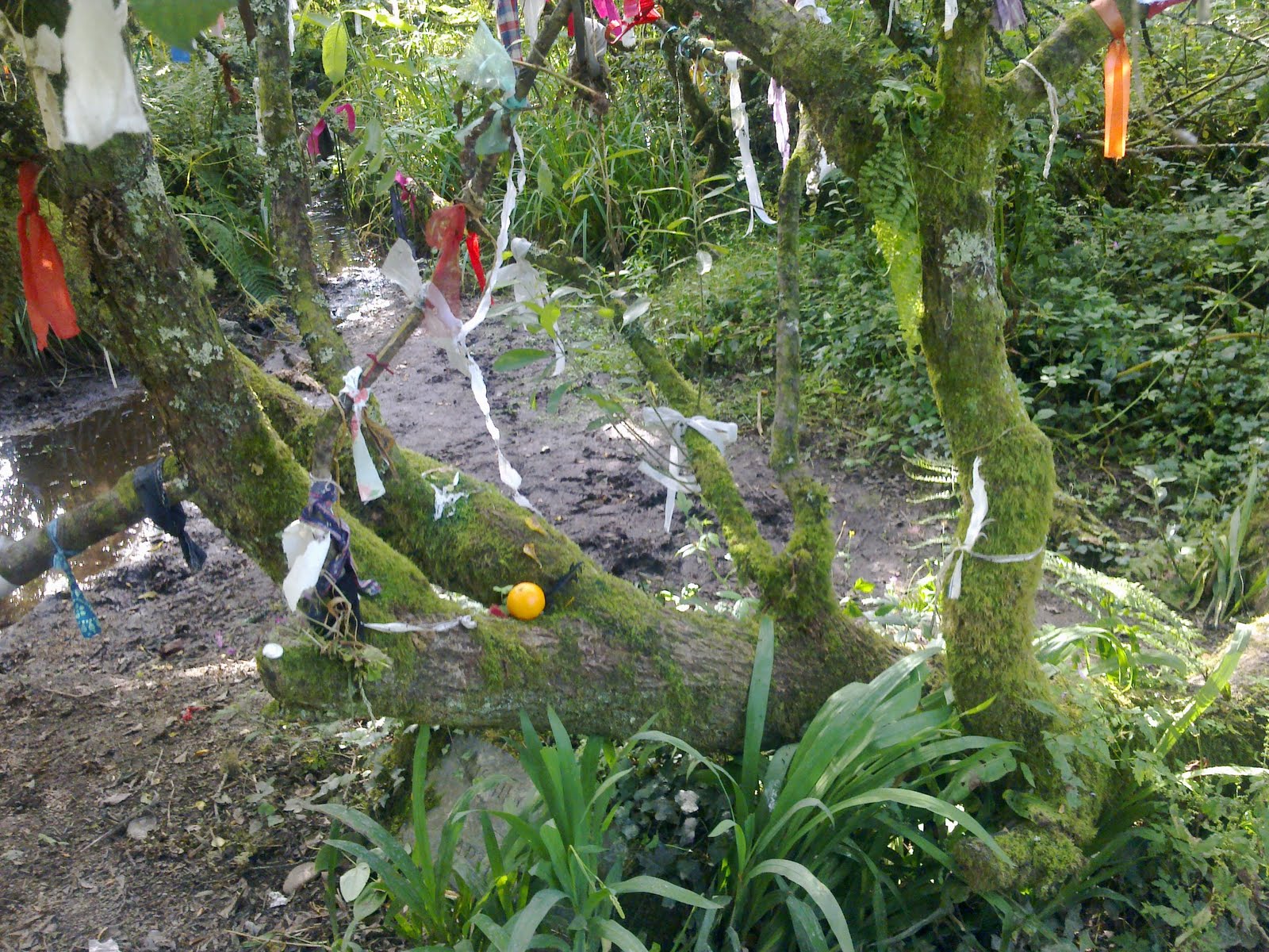 Away With The Faerys': Madron Well and Baptistry, Cornwall