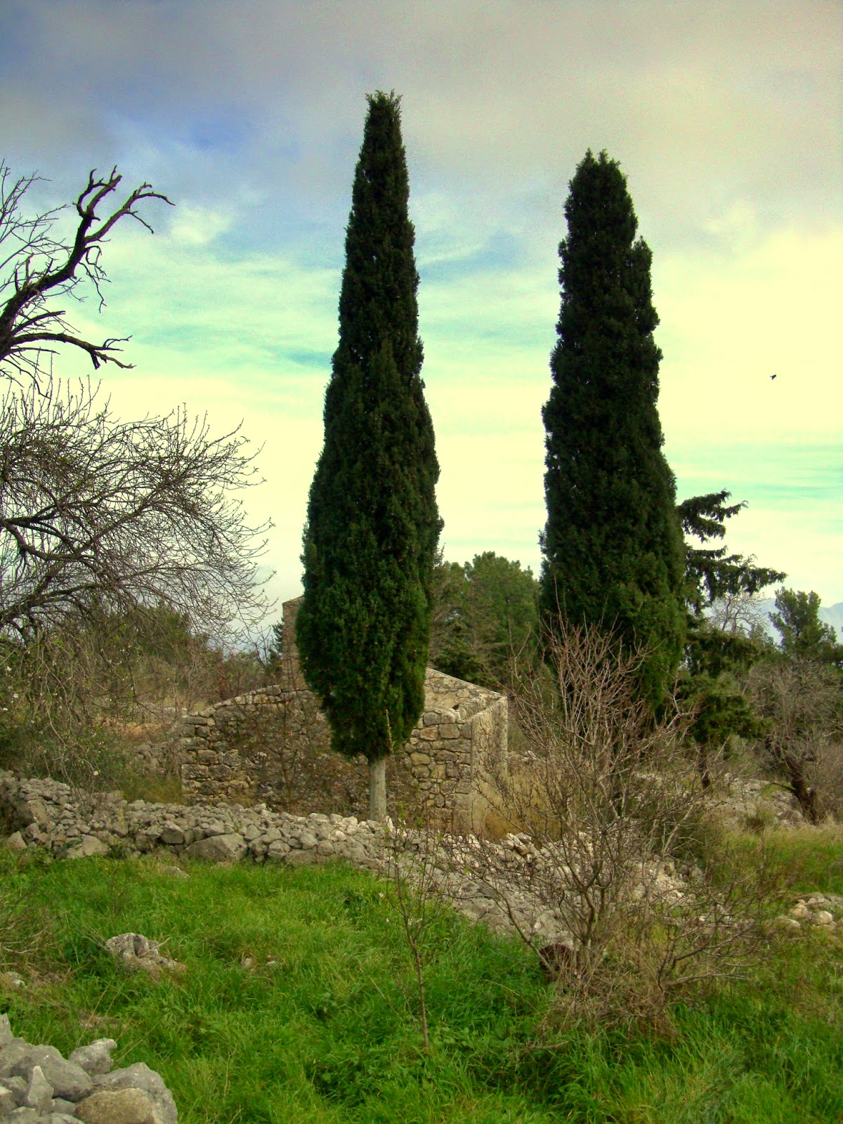 Καρυά Λευκάδας Karya Lefkadas