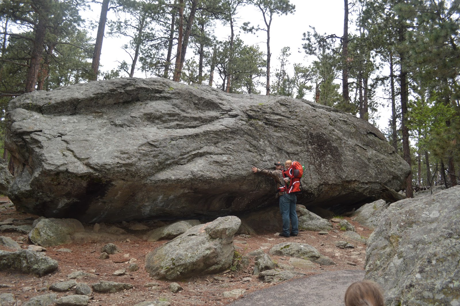 Where in the US is Fire Team McBean? : Devils Tower, WY