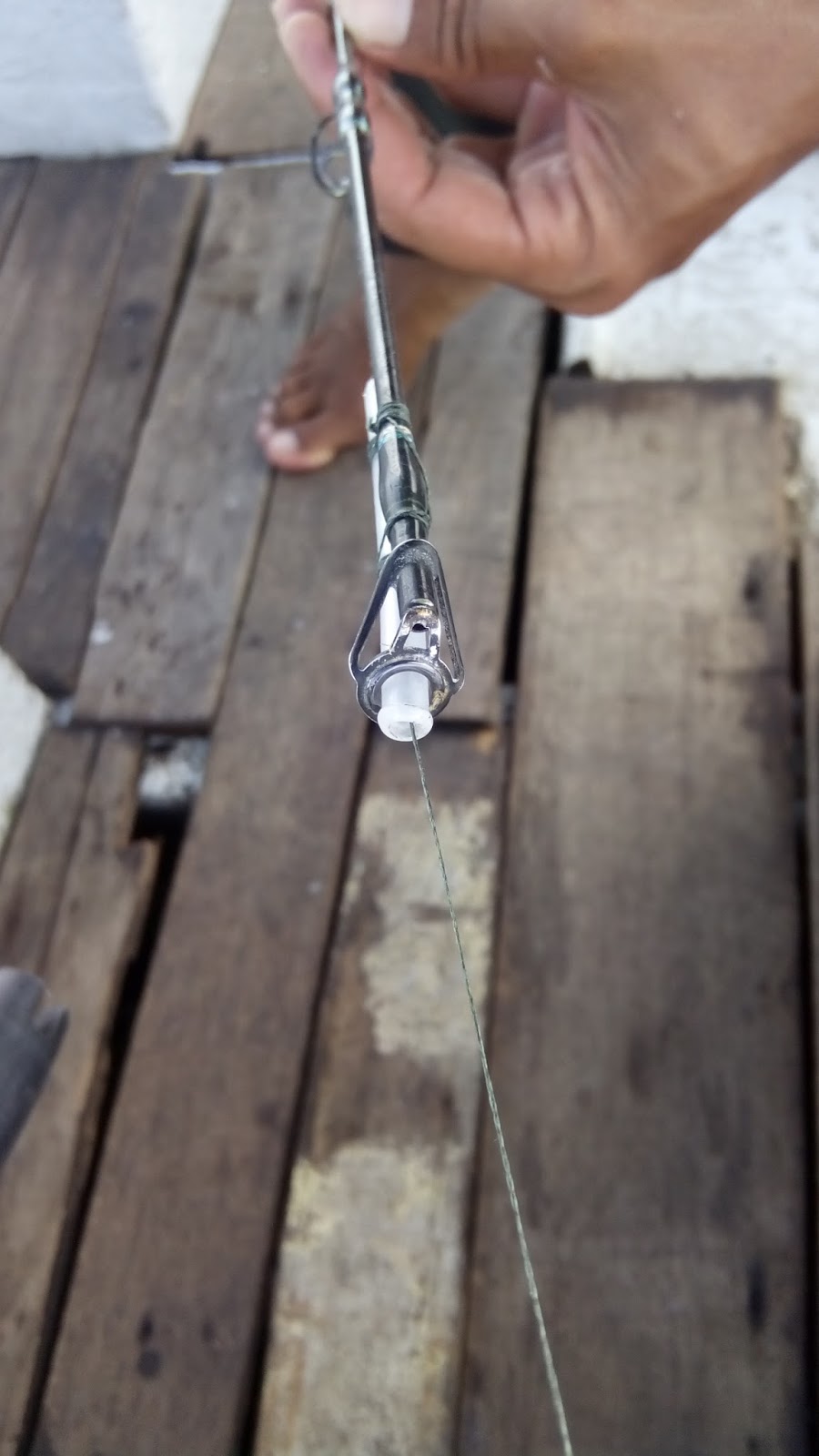 Jom Mancing Bersama Di Port Klang: Sekadar Informasi, Perambut straw yg ...