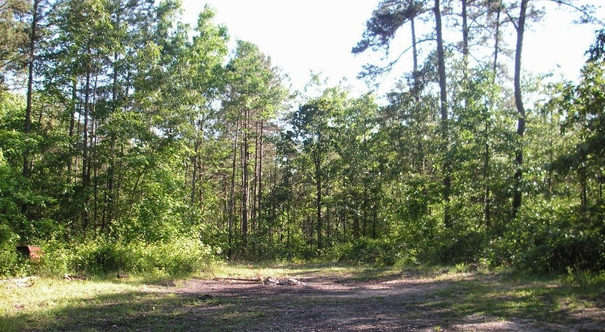 O circulo do Diabo - EUA Noite Sinistra
