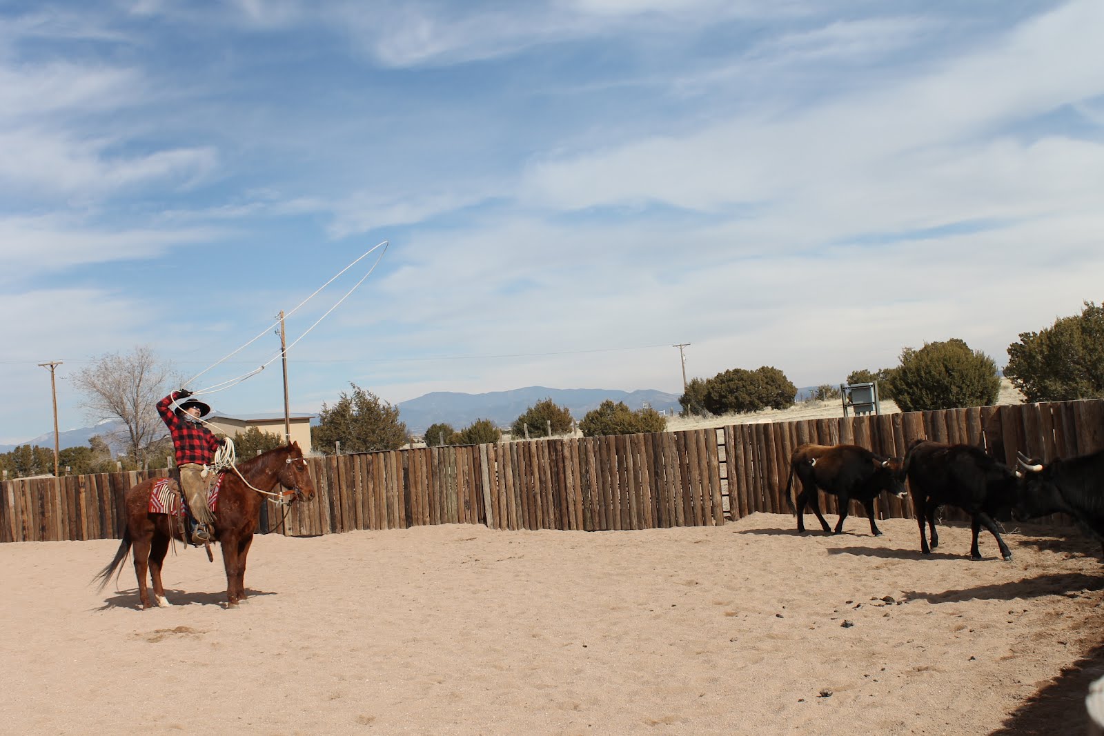 HORSES FOR HEROES New Mexico - Cowboy Up! 505-798-2535: Vaquero ...