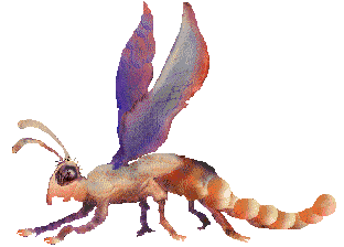 Insect Animation | bestgif