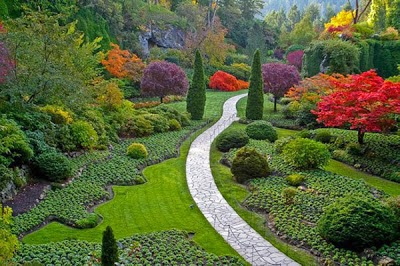 20 Inspirasi Desain Taman Indah Rumah Minimalis - Blog Koleksi Desain Rumah