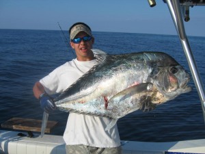 Big Fishes of the World: POMPANO AFRICAN (Alectis ciliaris)