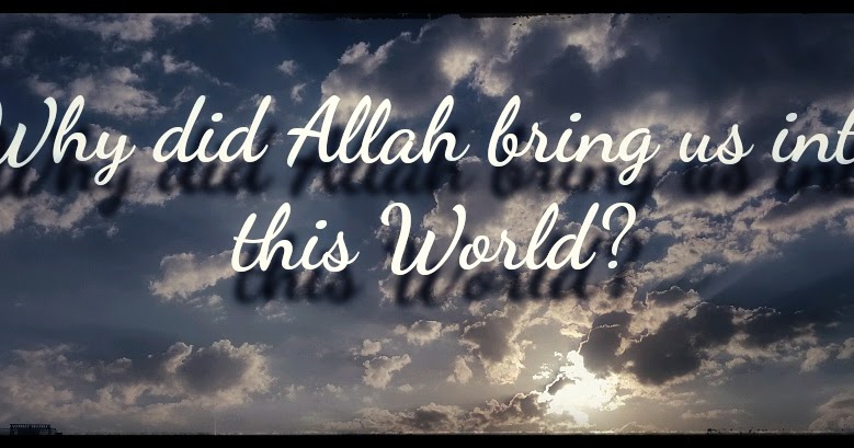 Why did Allah bring us into this world?