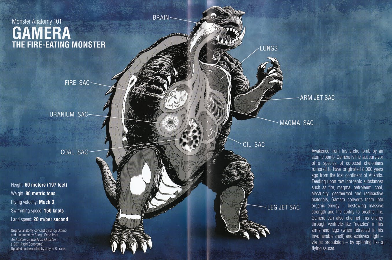 Gamera Turtle Shell