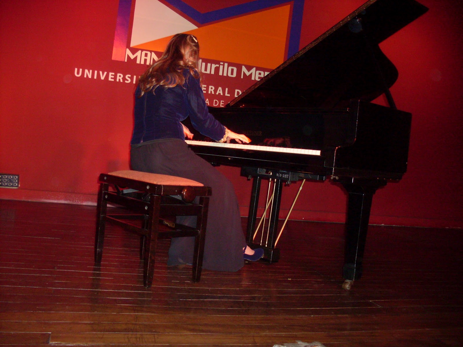 Maria Alice de Mendonça / Performances