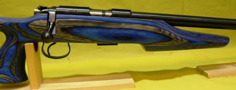 Armi usate web portal: CARABINA CZ MOD.EVOLUTION VARMINT 455 CAL.22LR