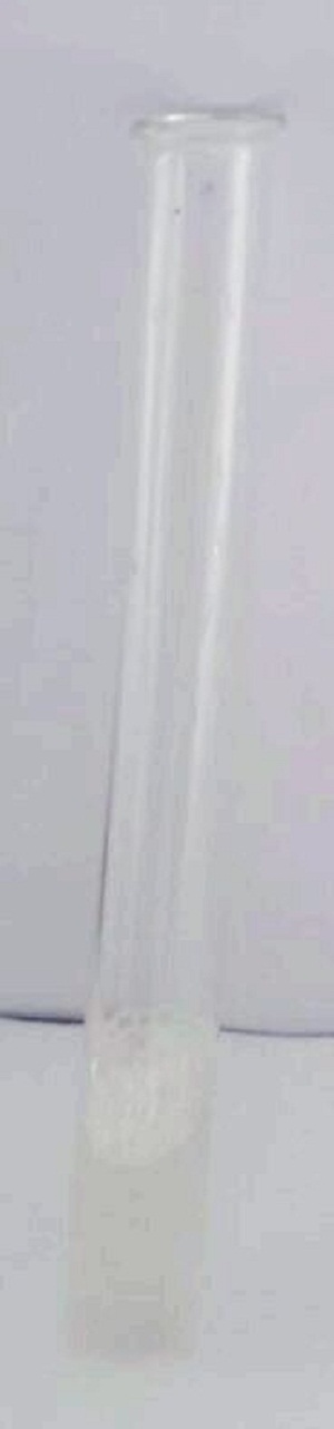 SENTHIL PRABHU SIVASAMY: Catalase Test