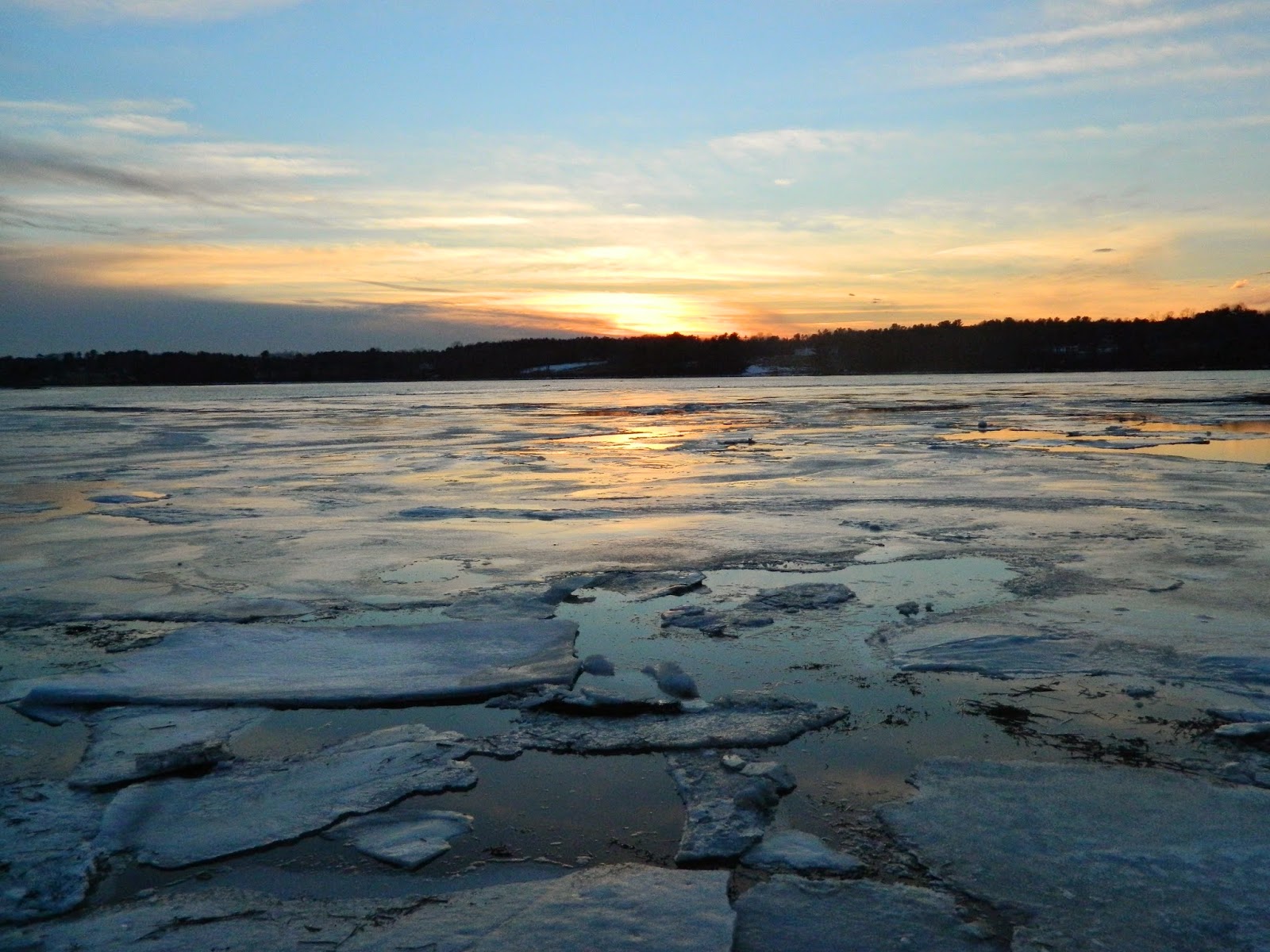 Expat-terns: The Pine Tree State: Maine, United States of America ...