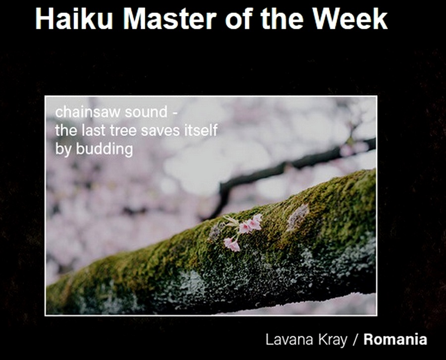 PREZENŢE ROMÂNEŞTI: NHK WORLD - Haiku Master of the Week - April 2017