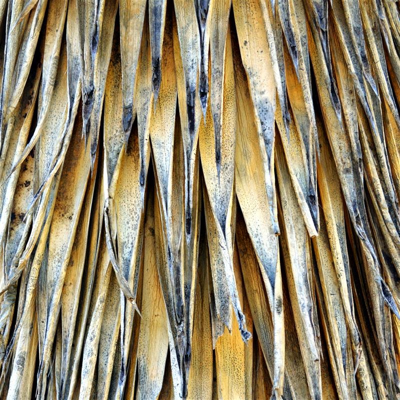 Capadia Designs: A few photos to share