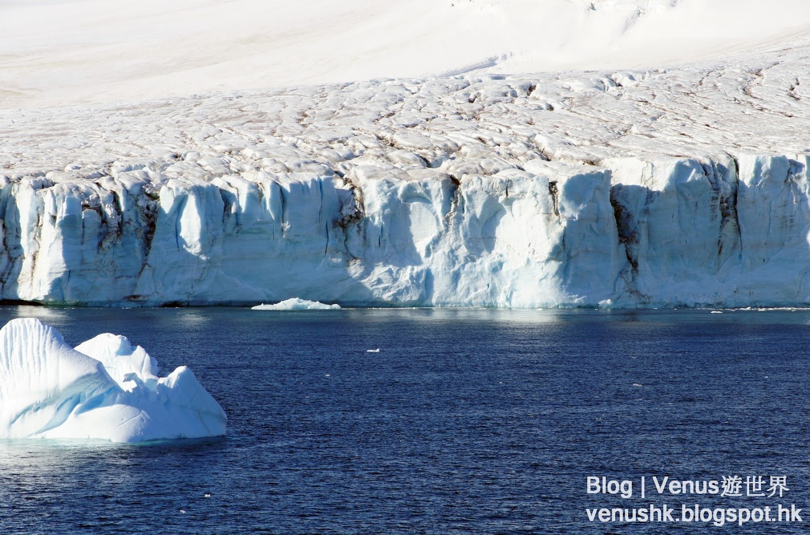 Venus遊世界: Day 11 南極第二站上篇──布朗海崖Brown Bluff
