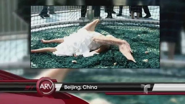 UN ANGEL CAE DEL CIELO EN LONDRES. ENCUENTRAN AL ANGEL CAIDO MUERTO EN ...