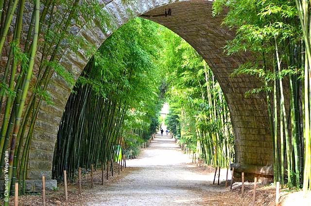 La Bambouseraie - an extraordinary plant collection that's survived the ...