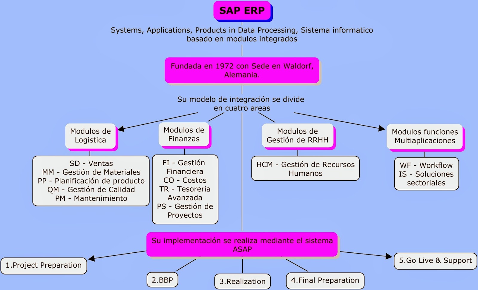 SISTEMAS DE INFORMACIÓN: MAPA CONCEPTUAL - SAP