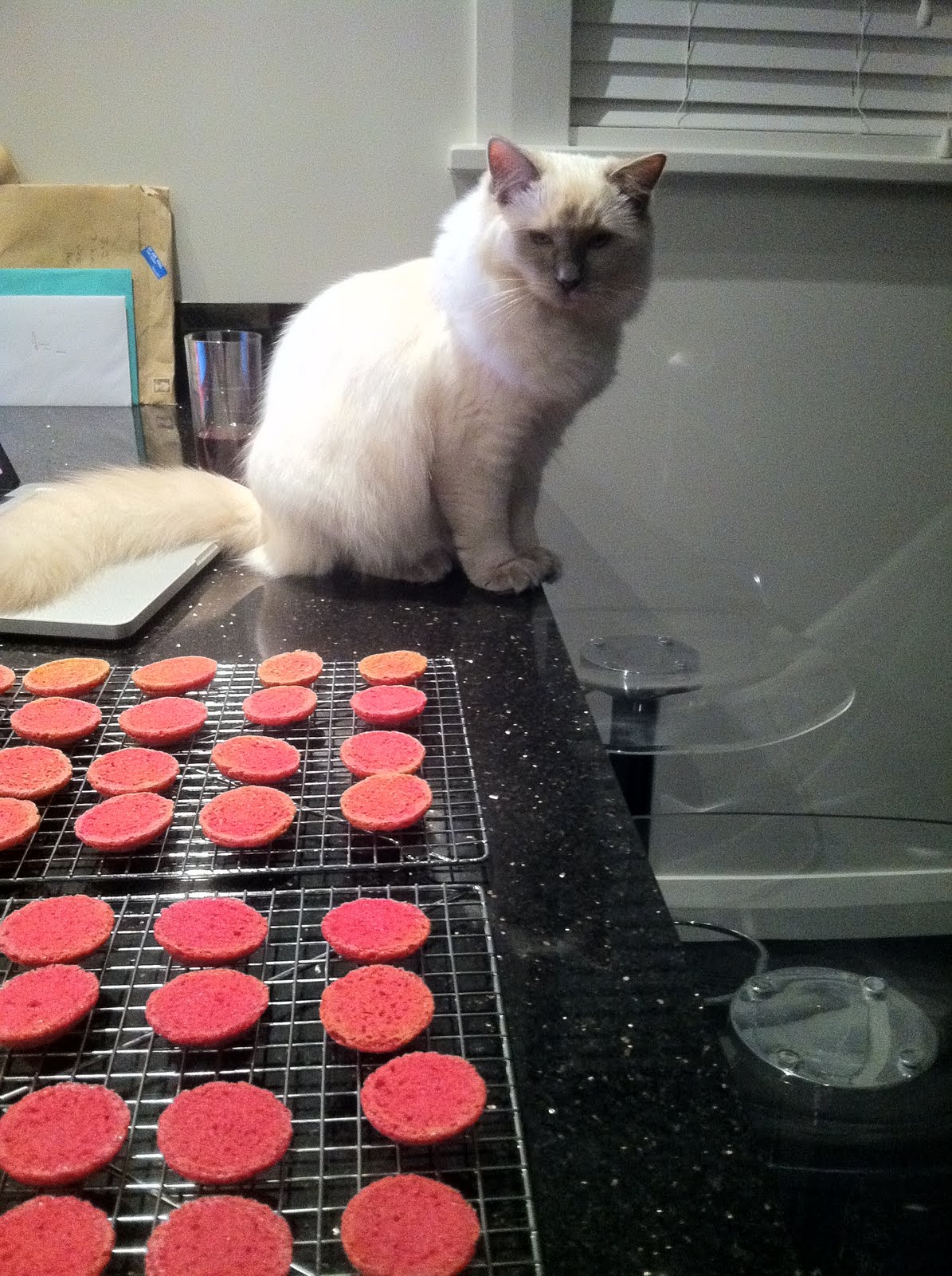 Team JJ's Bakery: Raspberry Macarons with Seedless Raspberry Jam ...