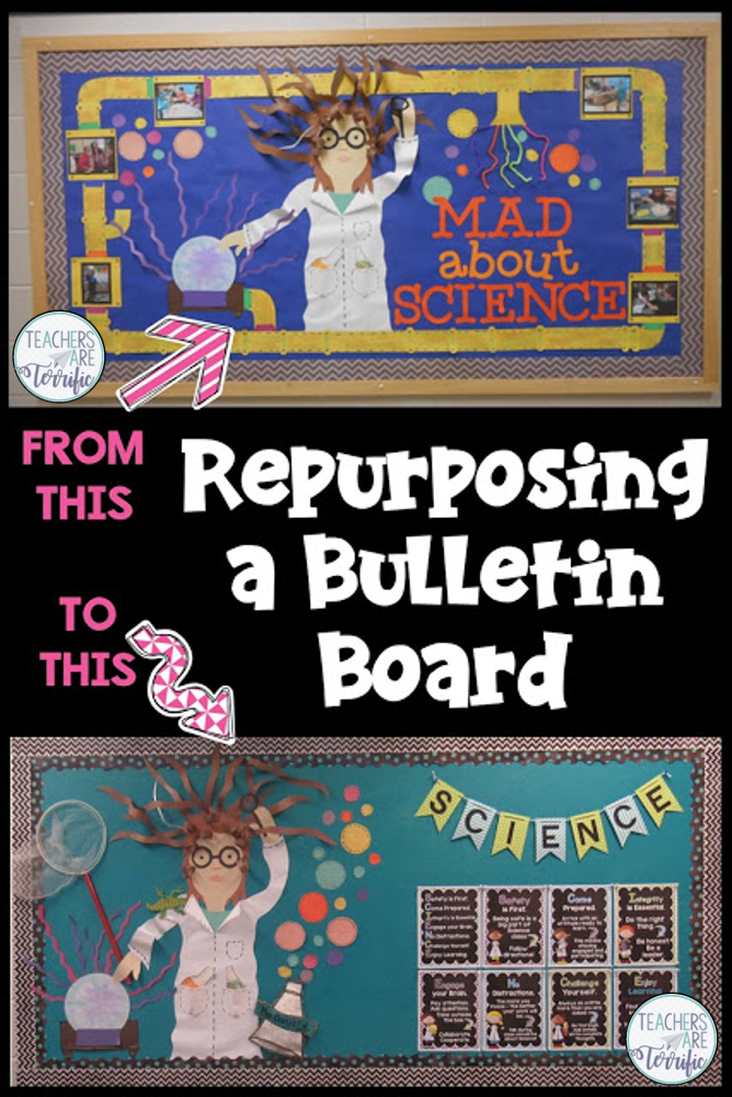 High School Science Bulletin Board at Kerry Palacios blog