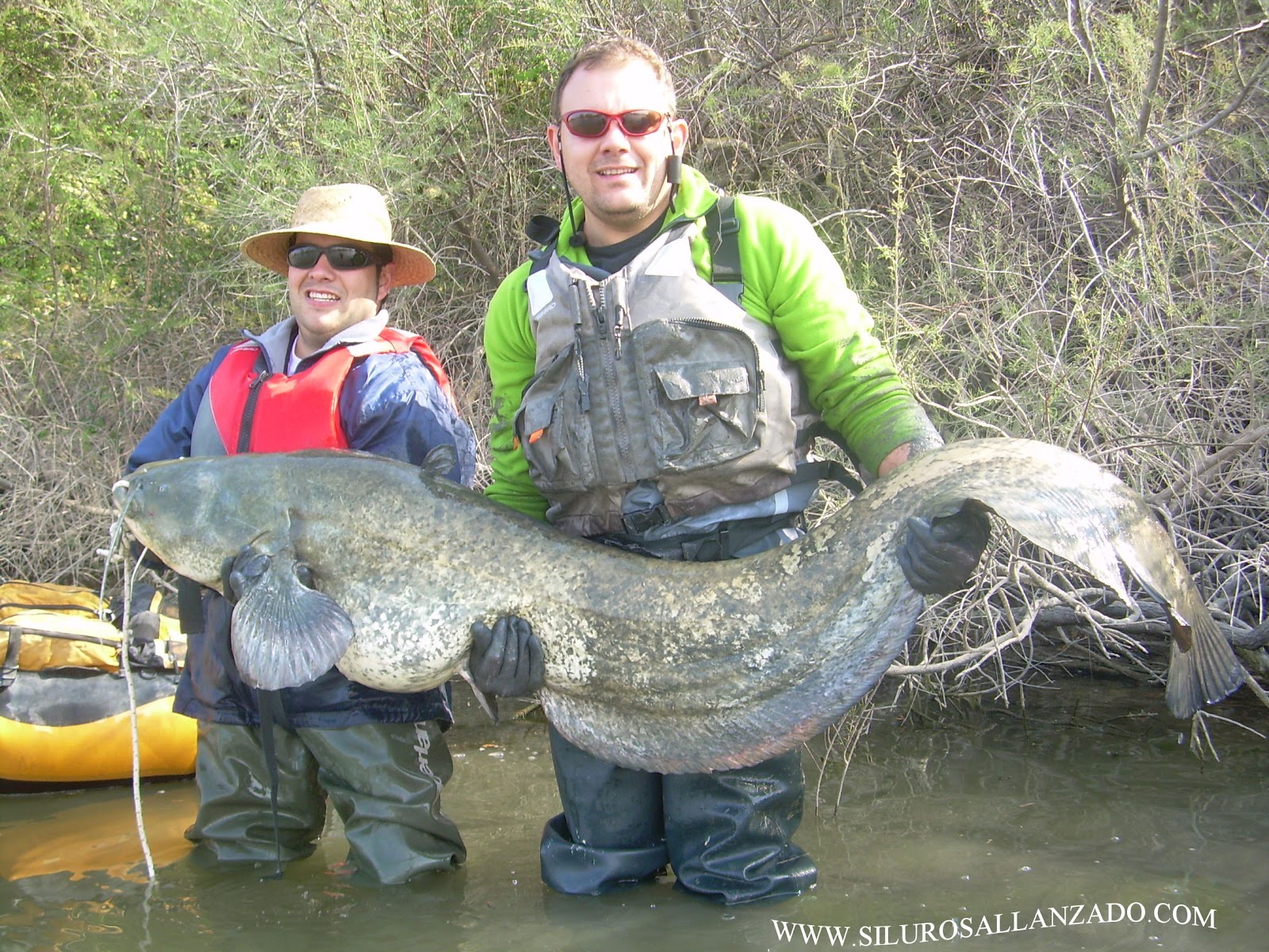 GUIDE DE PÊCHE DU SILURE ET DU SANDRE À MEQUINENZA: PÊCHE DE SILURES ...