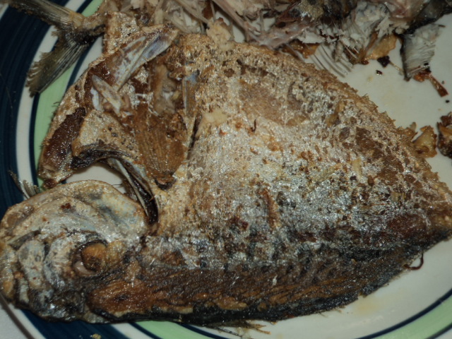 Day by Day with Divine: Moonfish or "Hiwas"