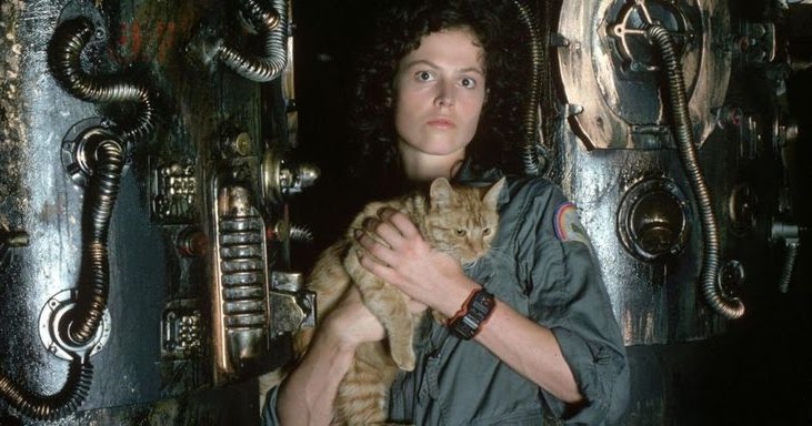 Jonesy, el gato de "Alien",tiene su propio libro - Cinefan Festival de ...