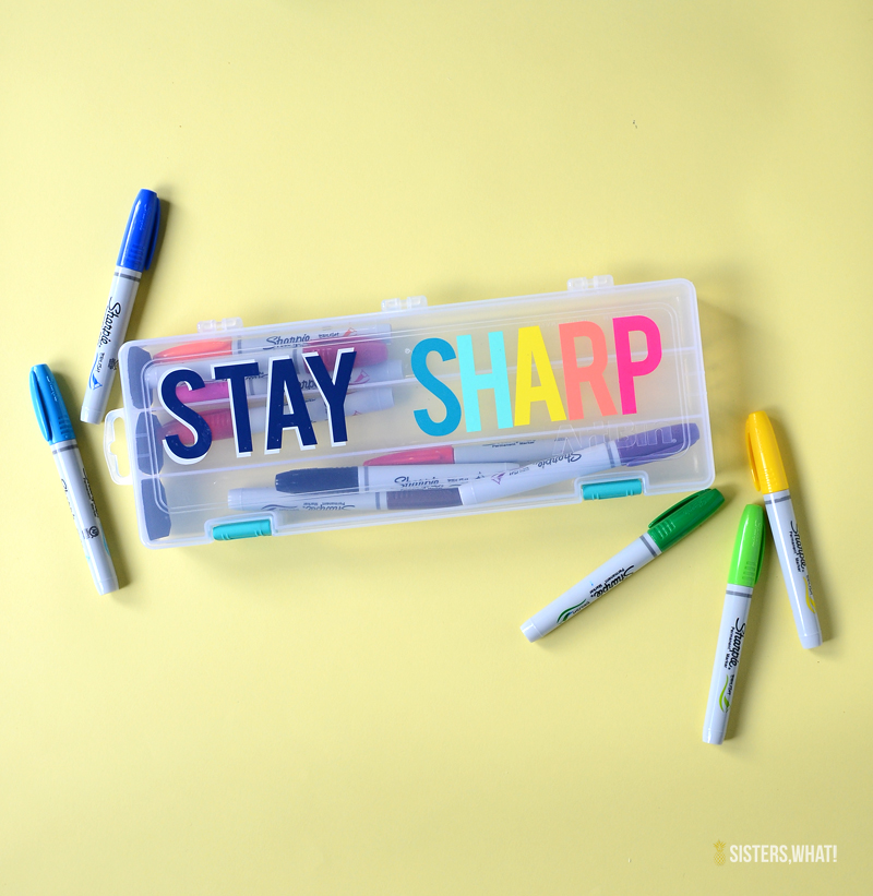Colorful Pencil Boxes with Inspiring Quotes - Sisters, What!