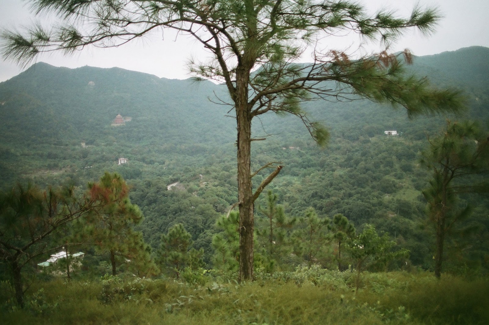 Ki! Ki!: A cold hard stone