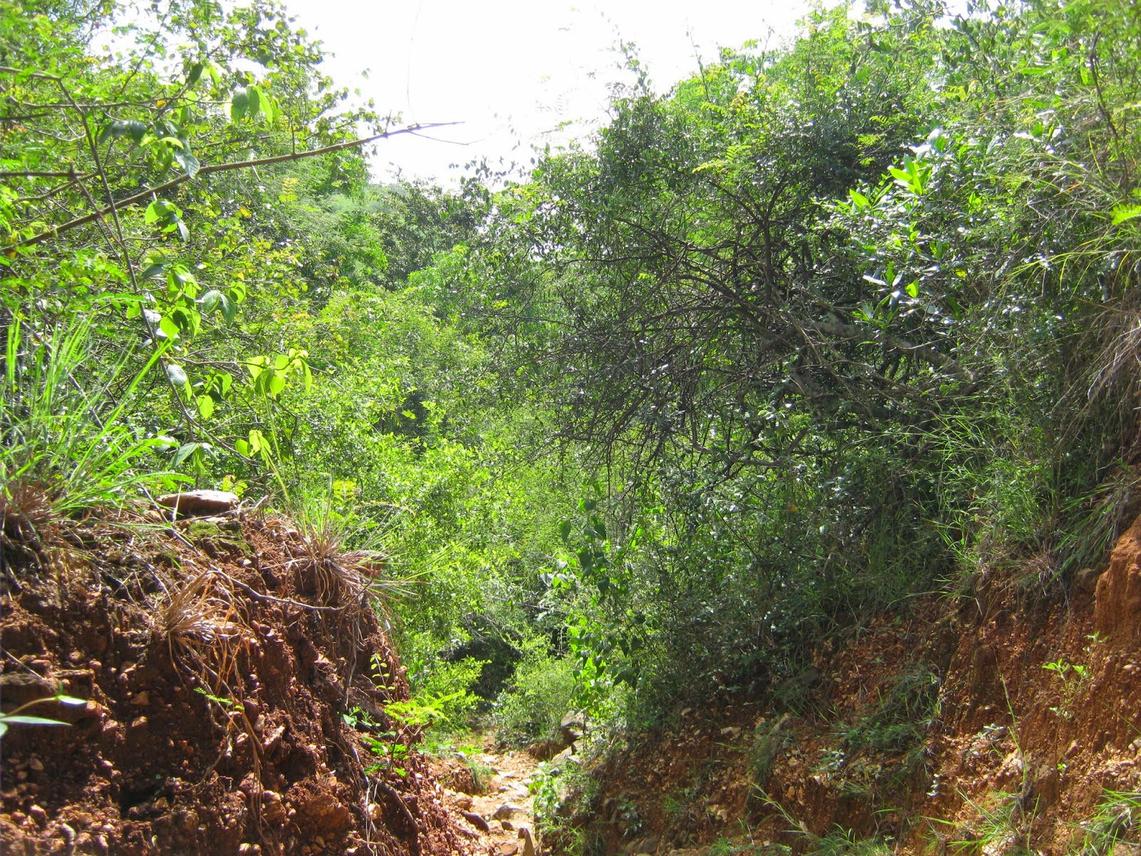 MuthyalaMaduvu , Pearl Valley , Anekal , near Bengaluru