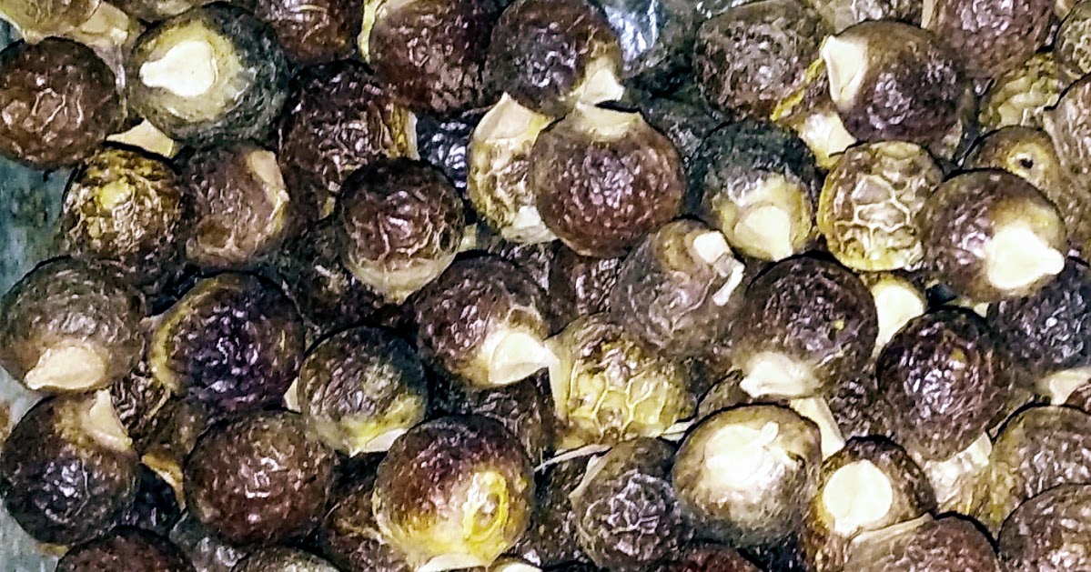 Ayurveda Tips: ARITHA ... SOAP NUTS