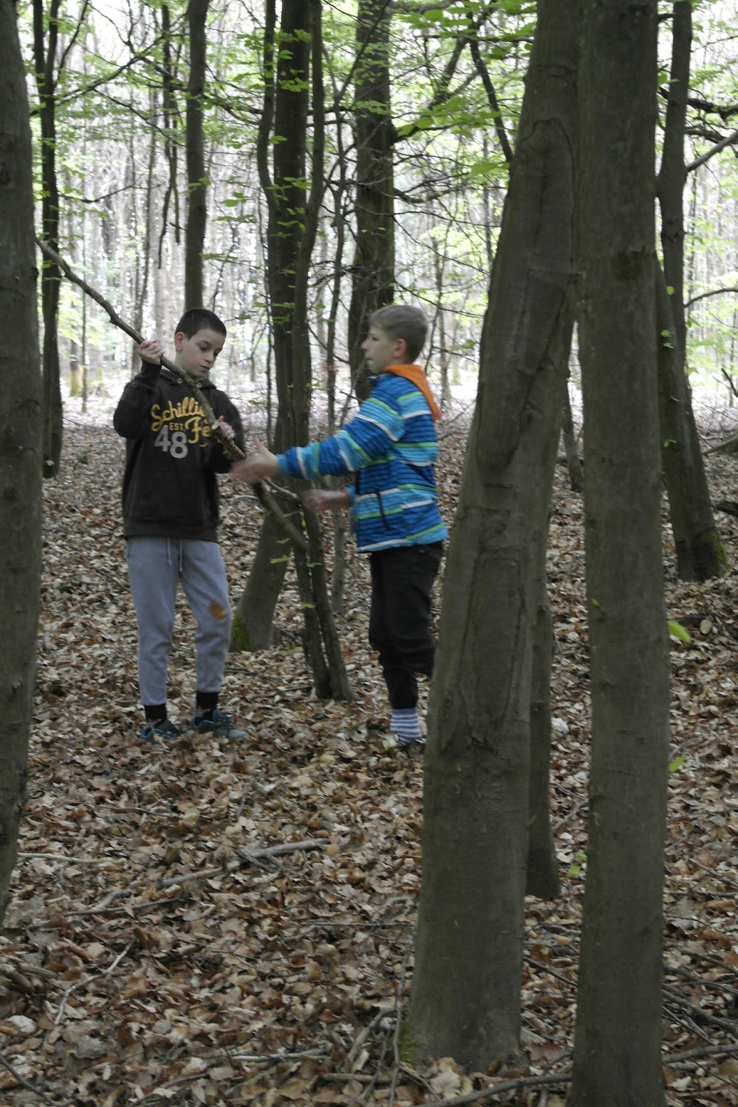 Bosklassen De Zonneroos 2016