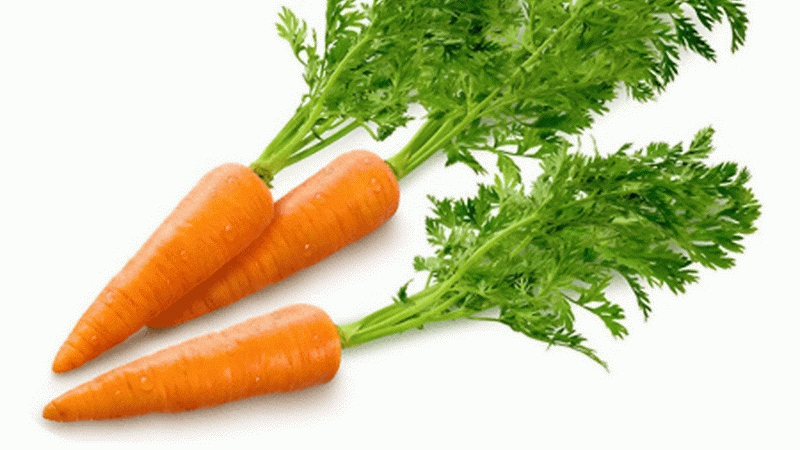 Resep Dan Cara Membuat Jus Wortel Segar Nikmat - Resep Makan Jalan