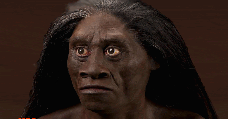 ESTUDIANDO Creciendo y Tu ¿?: # Ciencia..Tuvimos hijos con otra especie ...