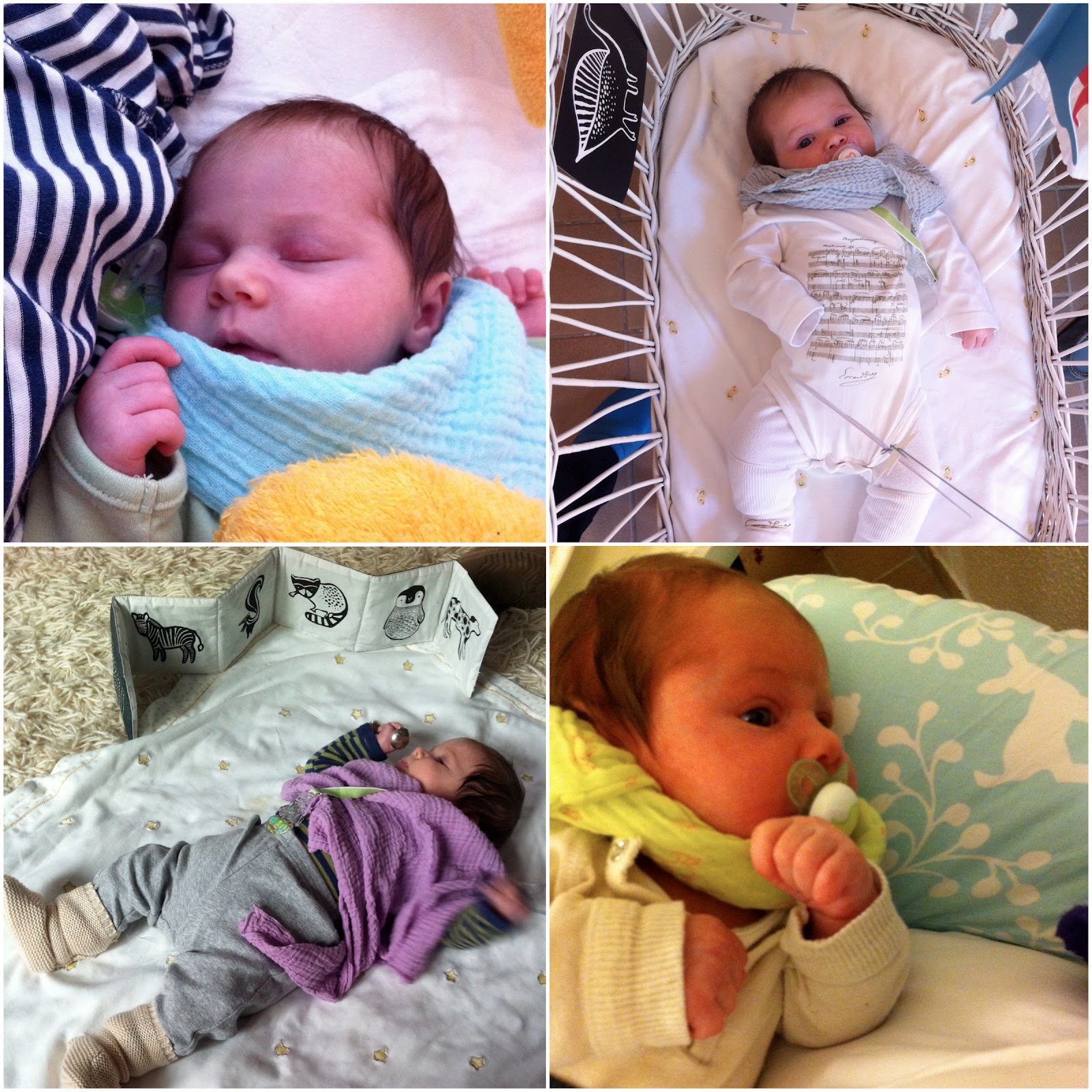 Baby Essential: Nuscheli — Swiss Lark