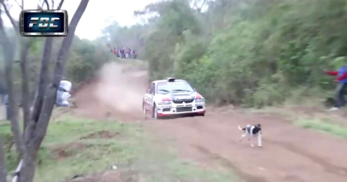 Rally Car Jump Gif | Best Wallpapers HD Collection