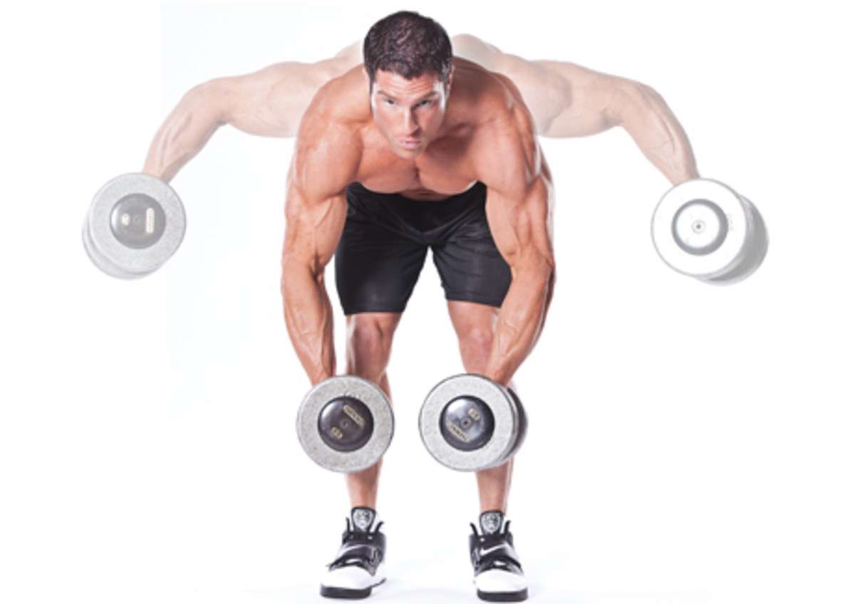 Best Supper Should Workout Back Dumbbell Shoulder Press Front Delt best-supper-should-workout-back-dumbbell-shoulder-press-front-delt