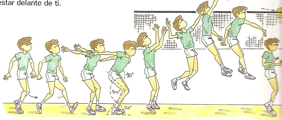 Voleibol: Voleibol