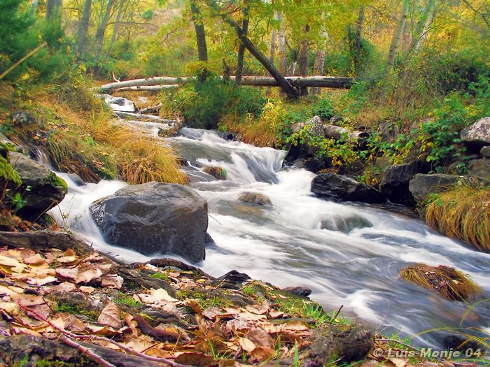 ECOSISTEMAS ACUATICOS: 1.2 Clasificación de los ecosistemas acuaticos