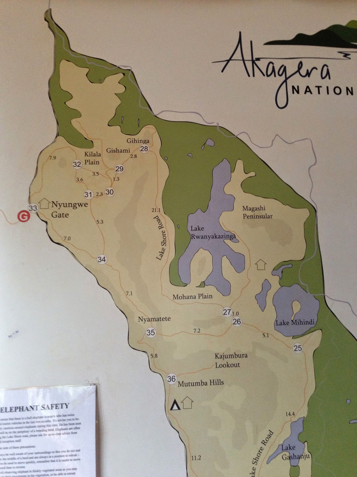 My Little Life Adventures: Rwanda and Uganda. Akagera national park, a ...