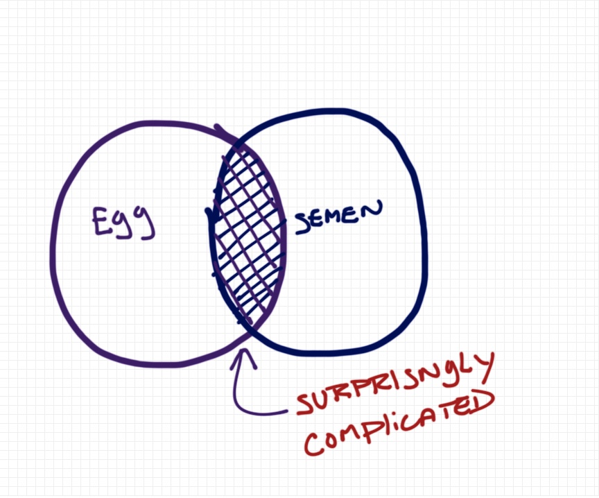 What can you learn from your IVF cycle ? | The IVF Specialist's Blog ...
