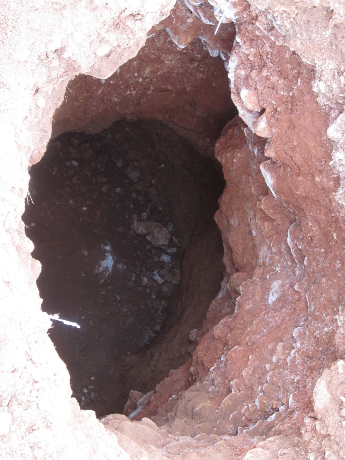 Histórico de Noticias de Baraona