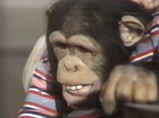 John Kenneth Muir's Reflections on Cult Movies and Classic TV: Saturday ...