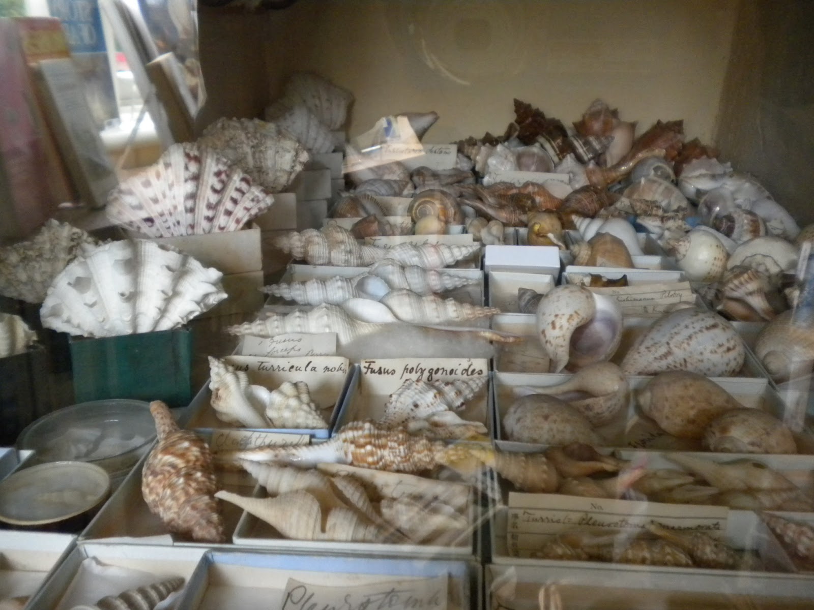 Groteskology: Smack My Kitsch Up