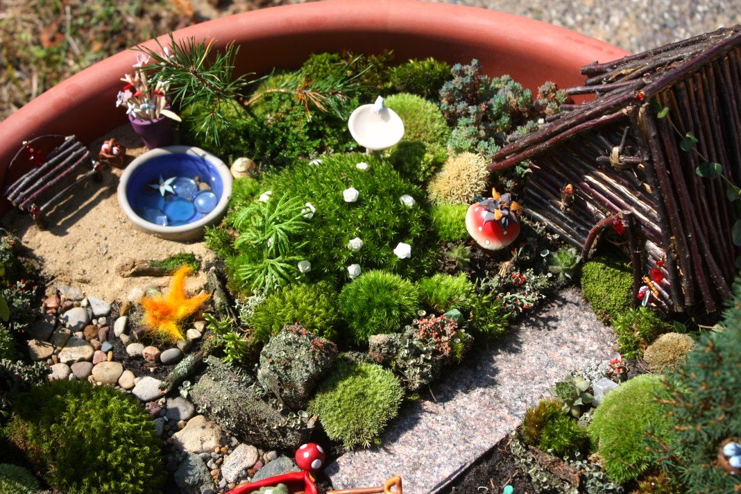 Juise: Our Fairy Garden: A Tour